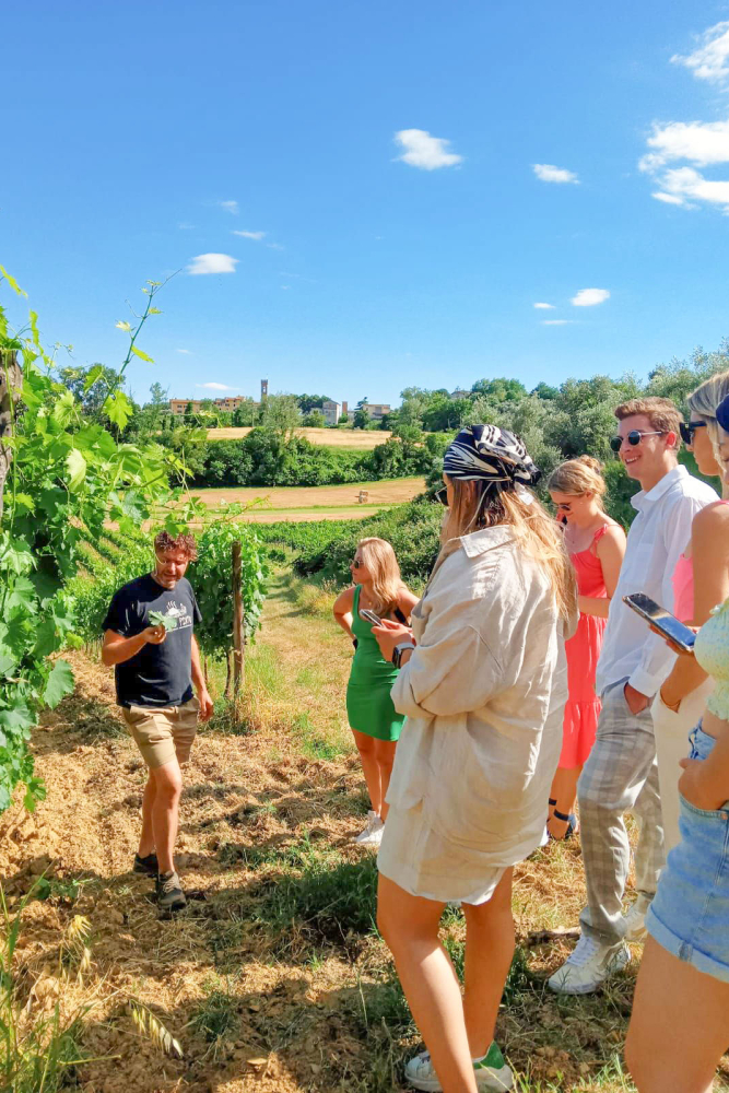 My Farm - Experience in Florence